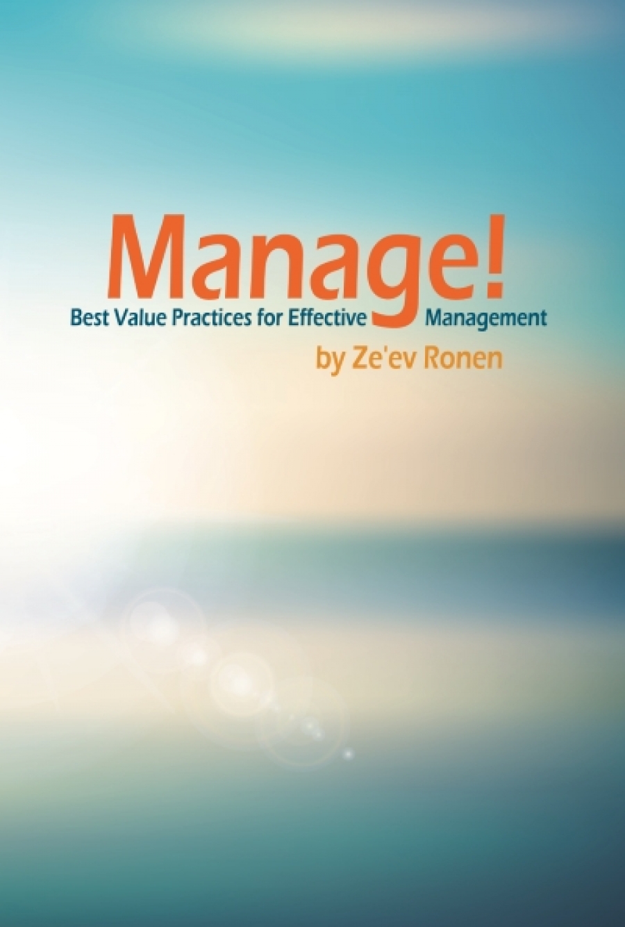 Manage! Best Value Practices for Effective Management - Ze'ev Ronen ...